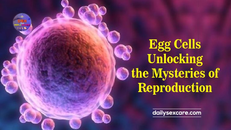 Egg Cells: Unlocking the Mysteries of Reproduction - Reproductive Health